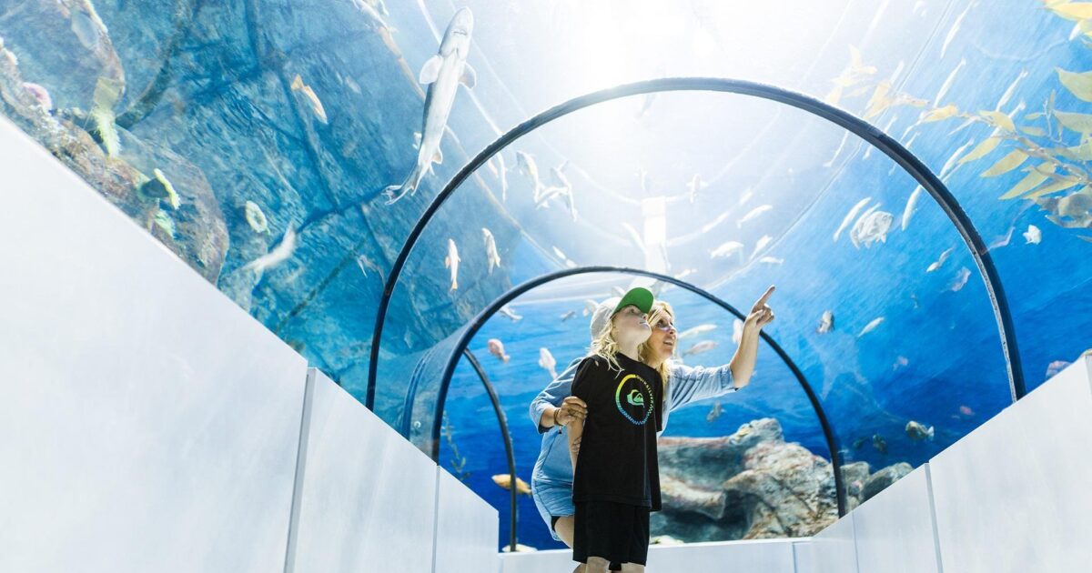 Visit the Quebec Aquarium - Au Chalet en Bois Rond