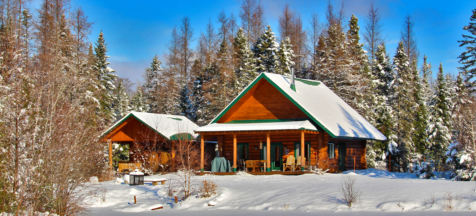 Découvrez le chalet L'Ours Noir - Au Chalet en Bois Rond